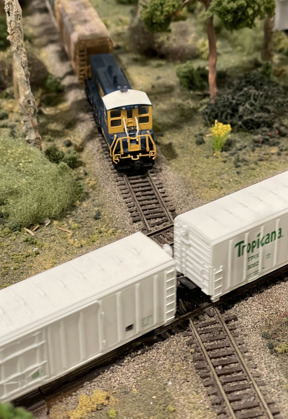 ShowLog – Deland – 1/(10-11)/2026 – Robert Raymond’s Blogtorium